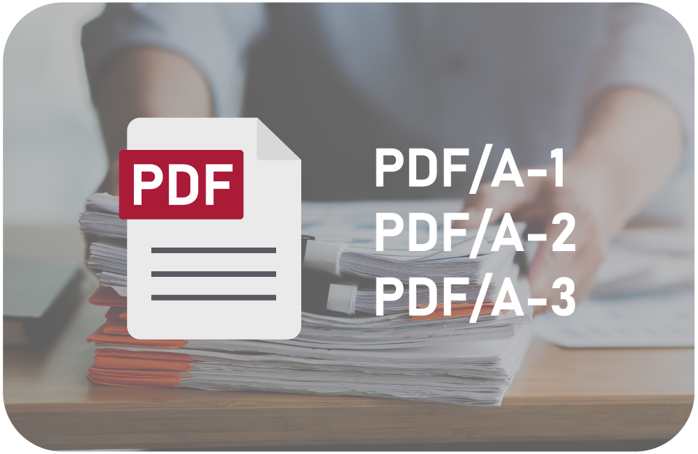 オフィス文書をサーバー上でダイレクト変換 -Office Server Document Converter